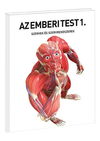 Az emberi test 1.